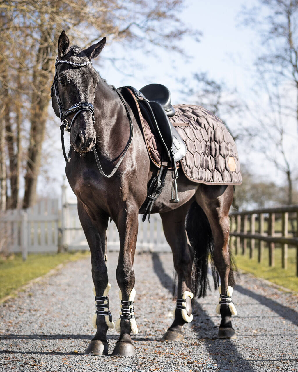 Derka treningowa QHP Quarter Rug Classy