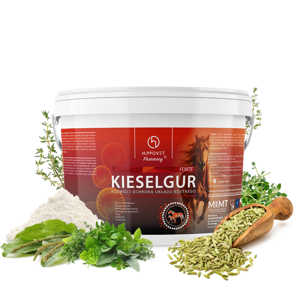 Krzem Mebio Kieselgur Forte